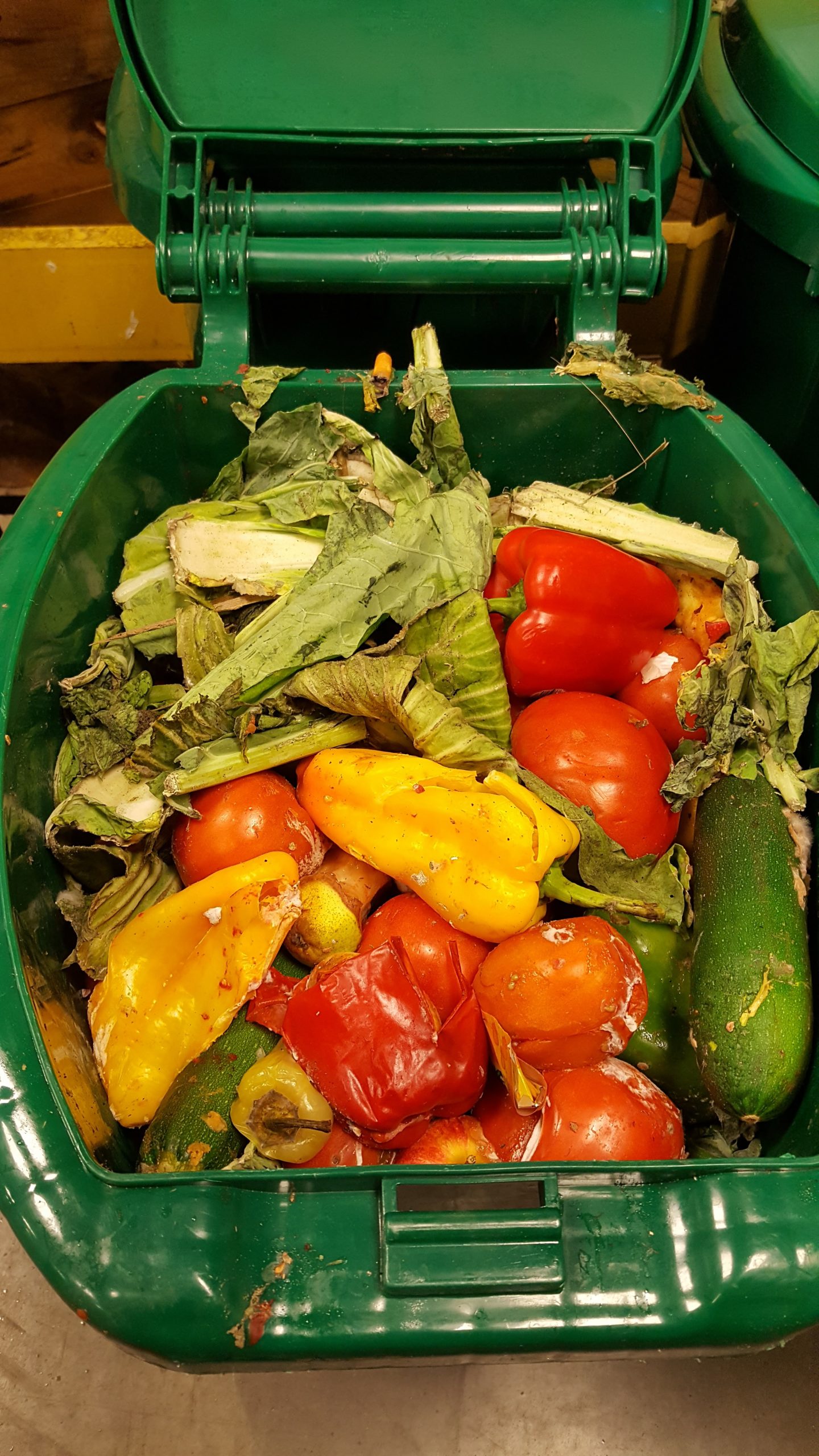 Food Waste Solutions